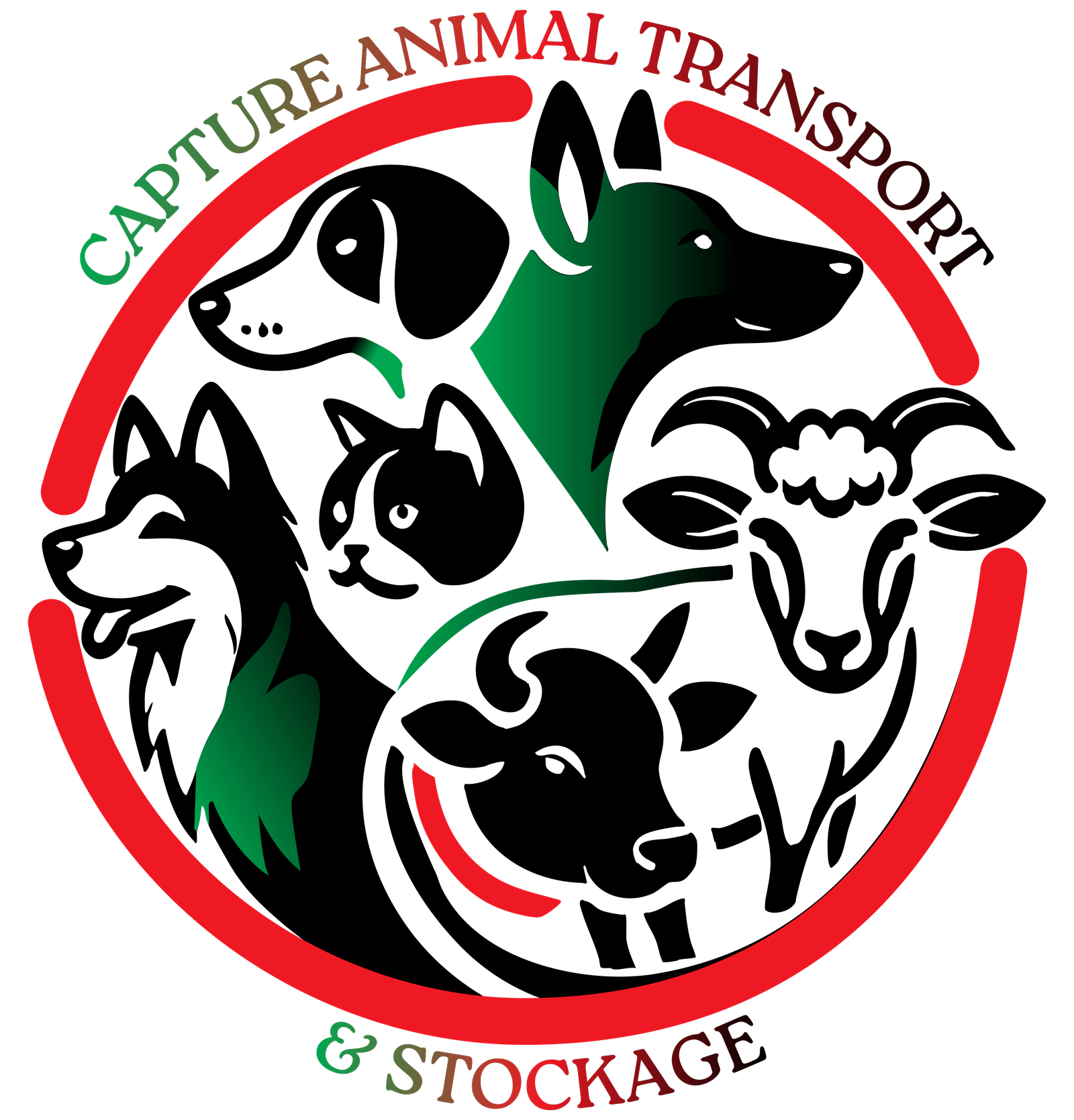 Capture, Transport et Assistance d'Animaux Errants en Martinique